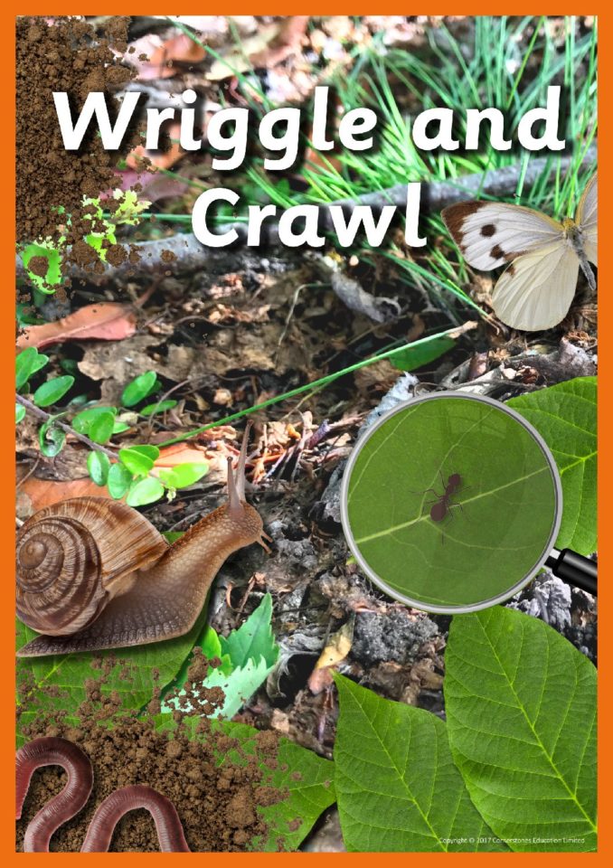 Wriggle and Crawl card - St Jérôme Church of England Bilingual School